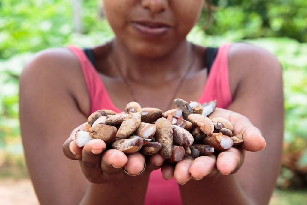Campanha reforça importância do Cerrado para segurança alimentar de ...